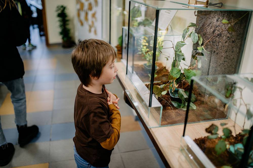 Owady i spółka w zoo - Śląskie. Informacja Turystyczna Wo...