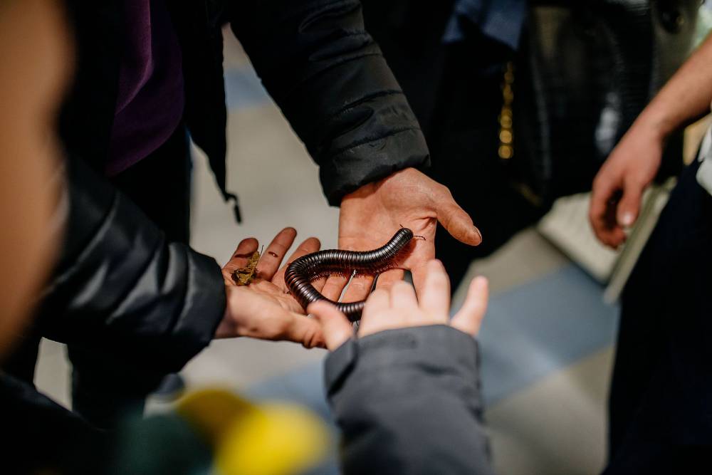 Owady i spółka w zoo - Śląskie. Informacja Turystyczna Wo...